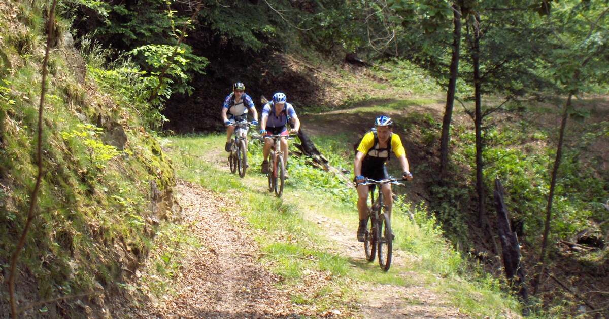 Prima tură de cicloturism din acest an, în Cetariu. Vor fi vizitate ...