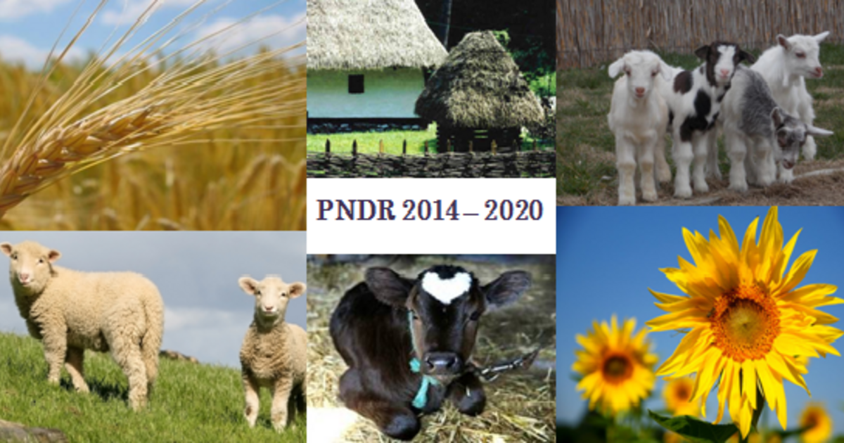 Simplificări și modificări în accesarea PNDR 2020 - BIHON