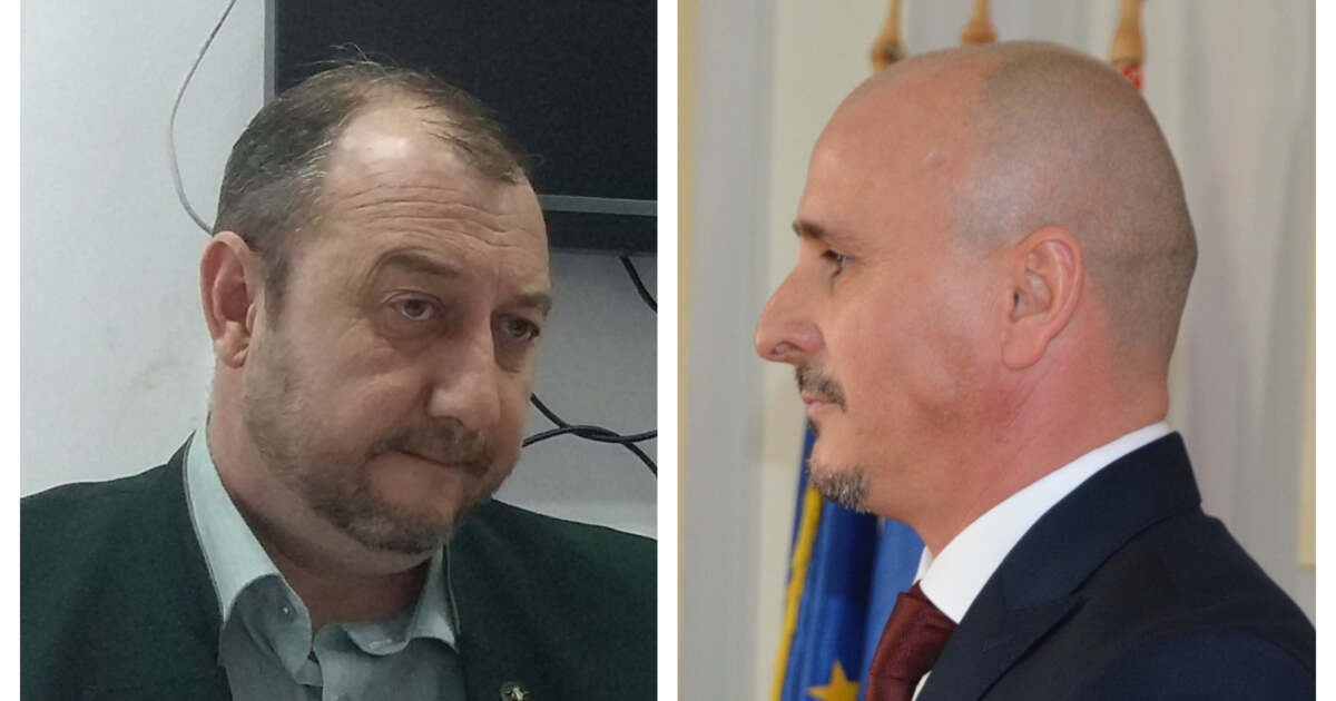 Defrișările de pe Valea Aleului amenință apa Șteiului - BIHON