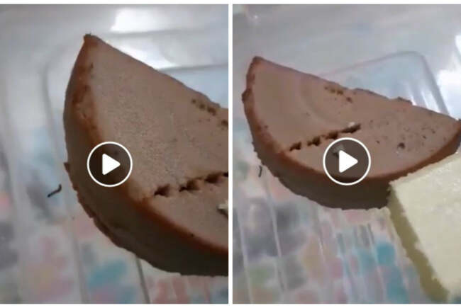 Cină cu viermi la Spitalul de Copii din Cluj-Napoca - BIHON