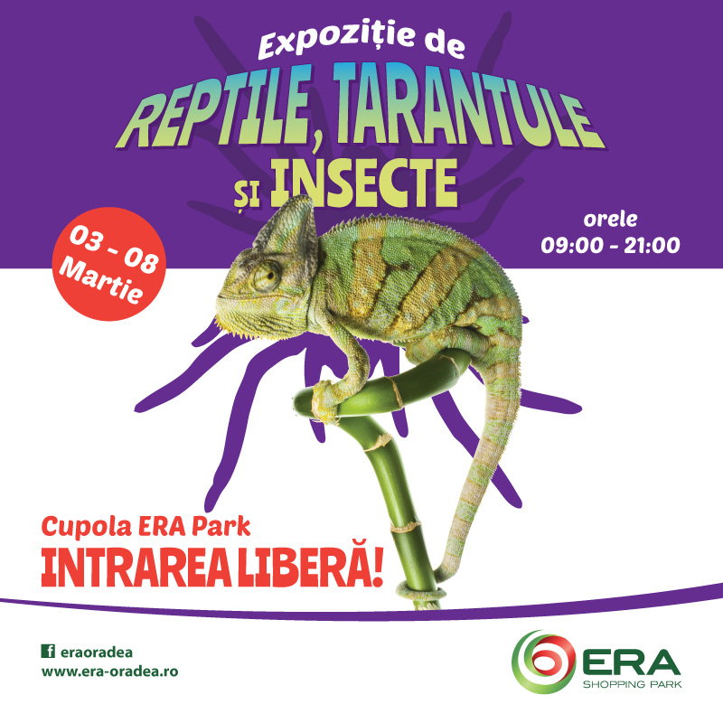 Cea mai mare expoziție mobilă de tarantule, insecte și reptile vii, la ...
