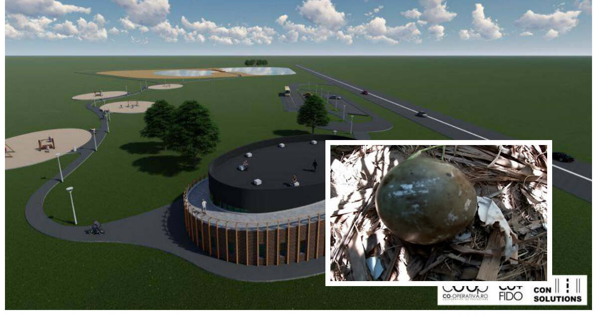 Doi pui de dropie au eclozat. Resturile de ouă, expuse - BIHON