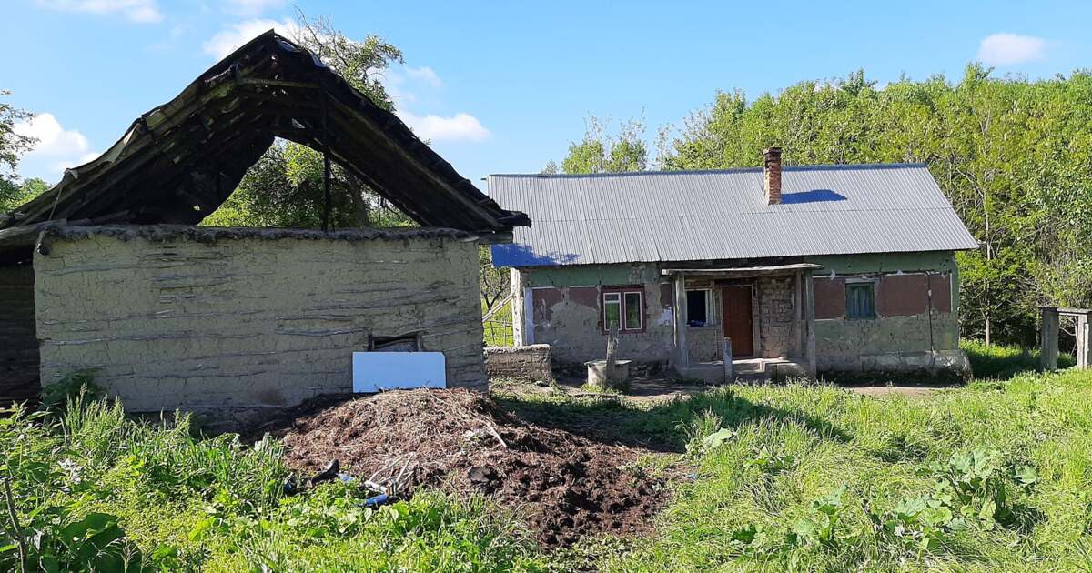 Agresorul copiilor din Hotar a fost reținut, iar minorii au fost ...