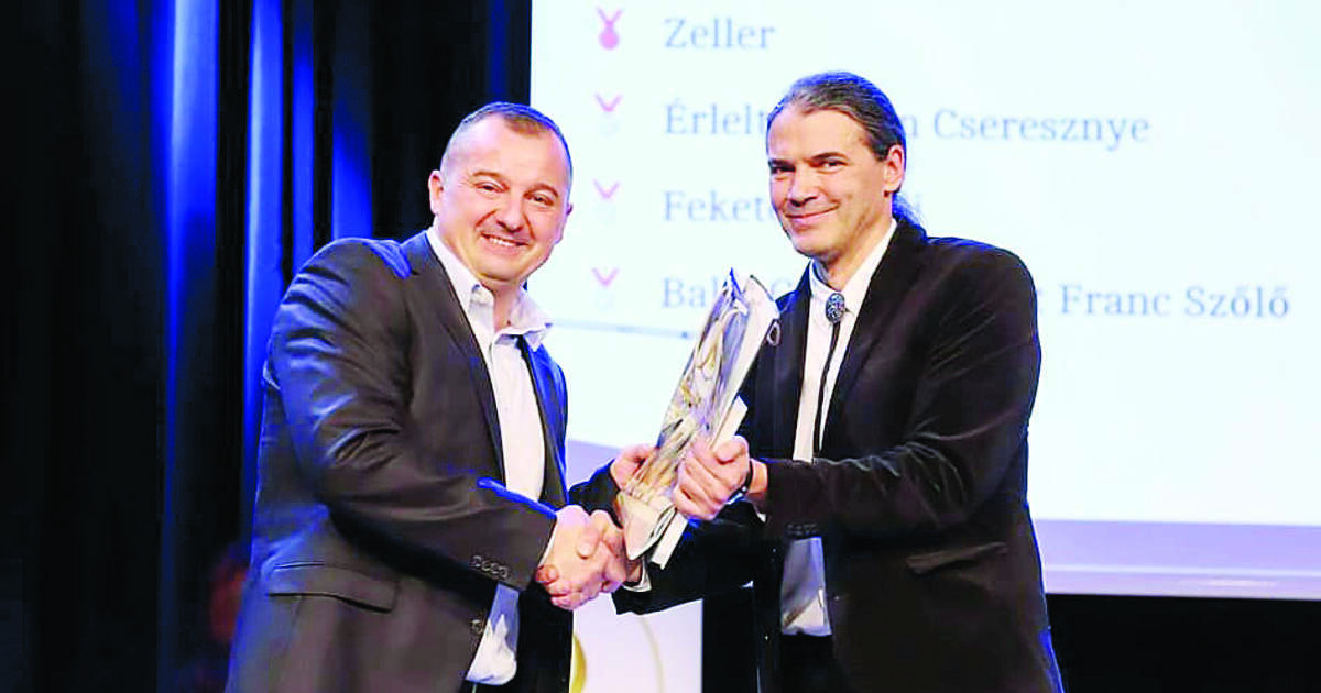 Bihoreanul Nagy Botond, 6 medalii de aur la cel mai mare concurs ...