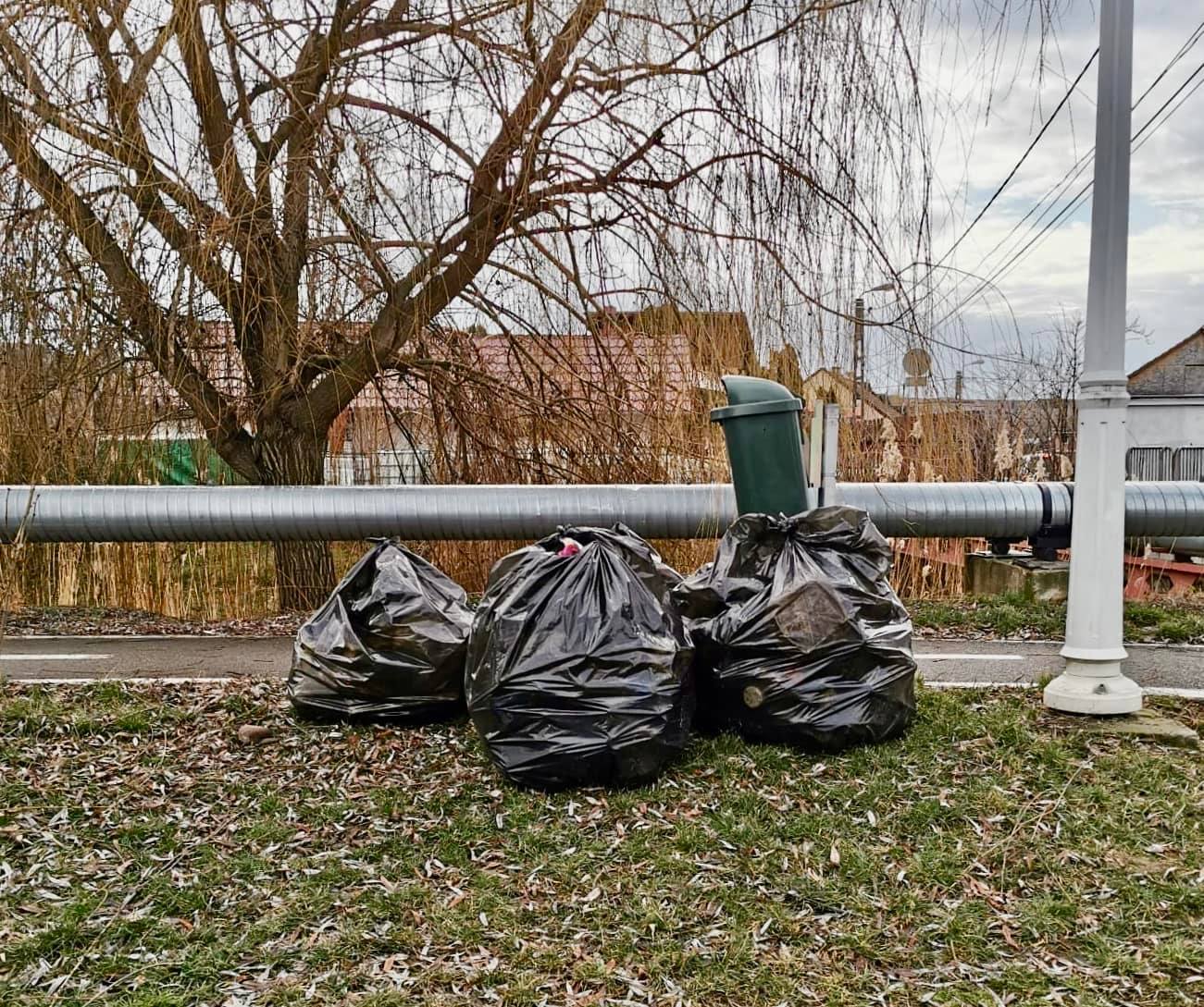 Baraj de PET-uri pe pârâul Peța. Reprezentanții ABA Crișuri au adunat ...