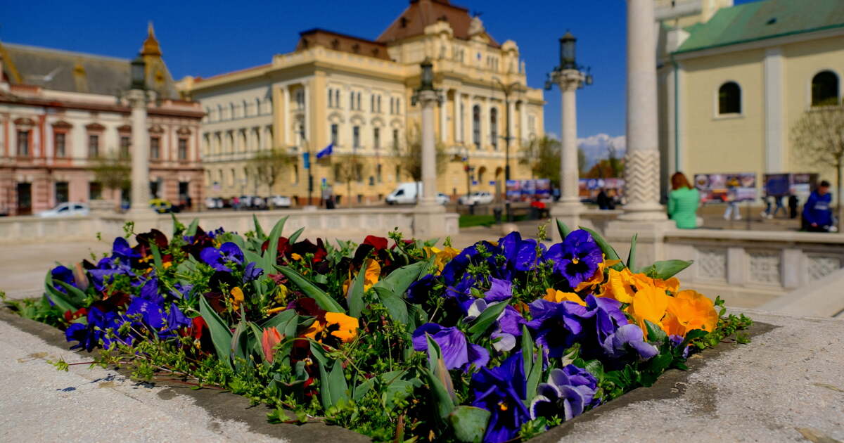 Temperaturi de primăvară în Oradea în această săptămână - BIHON