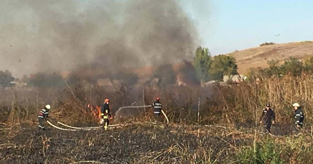 Incendii de vegetație uscată în patru localități din Bihor, inclusiv în ...
