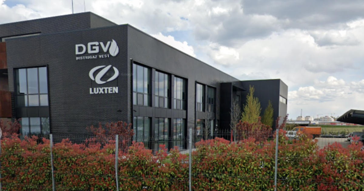 Distrigaz Vest renunță la clienții persoane juridice - BIHON