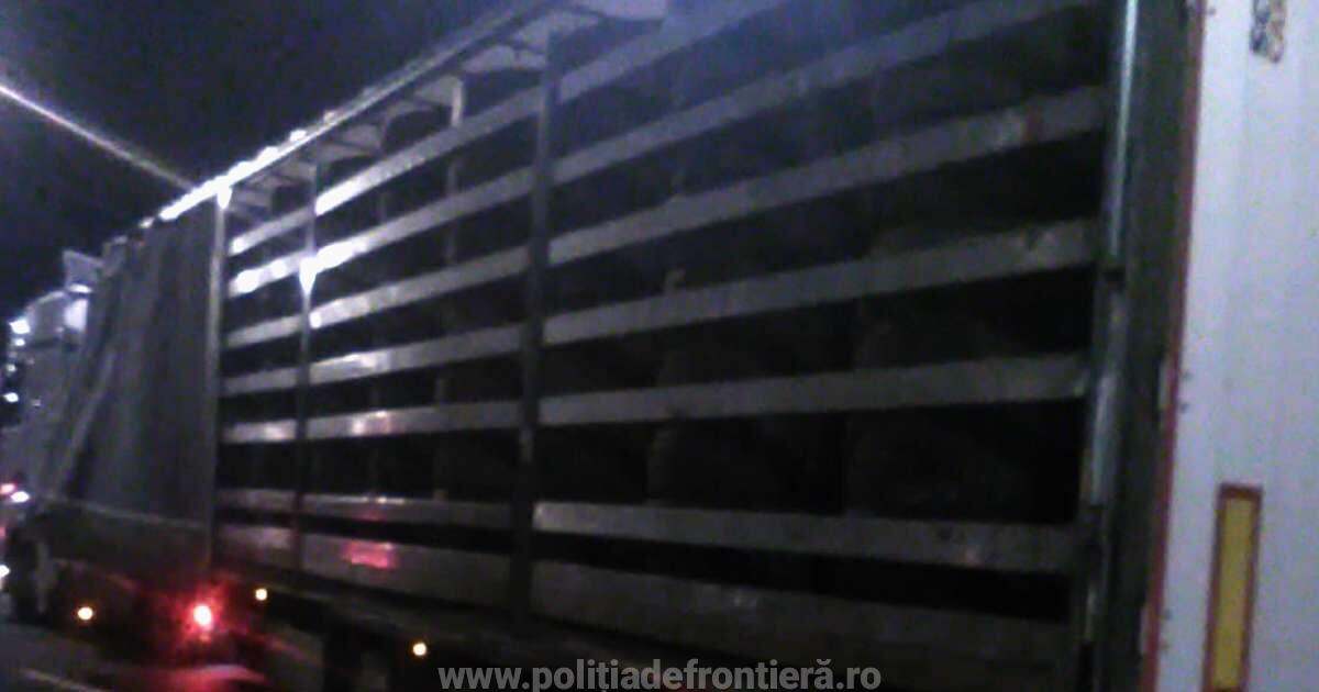 Peste 23 de tone de deșeuri din Germania, oprite la Vama Borș II - BIHON