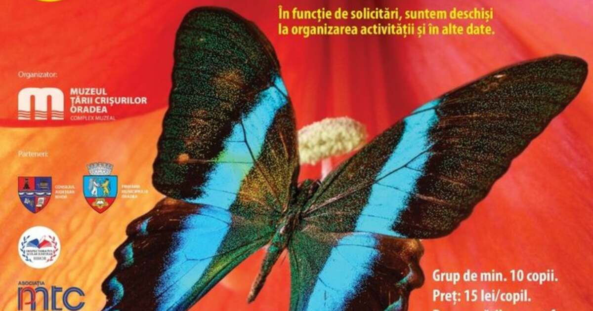 Atelier de educaţie muzeală „Curiozităţi despre fluturi” - BIHON