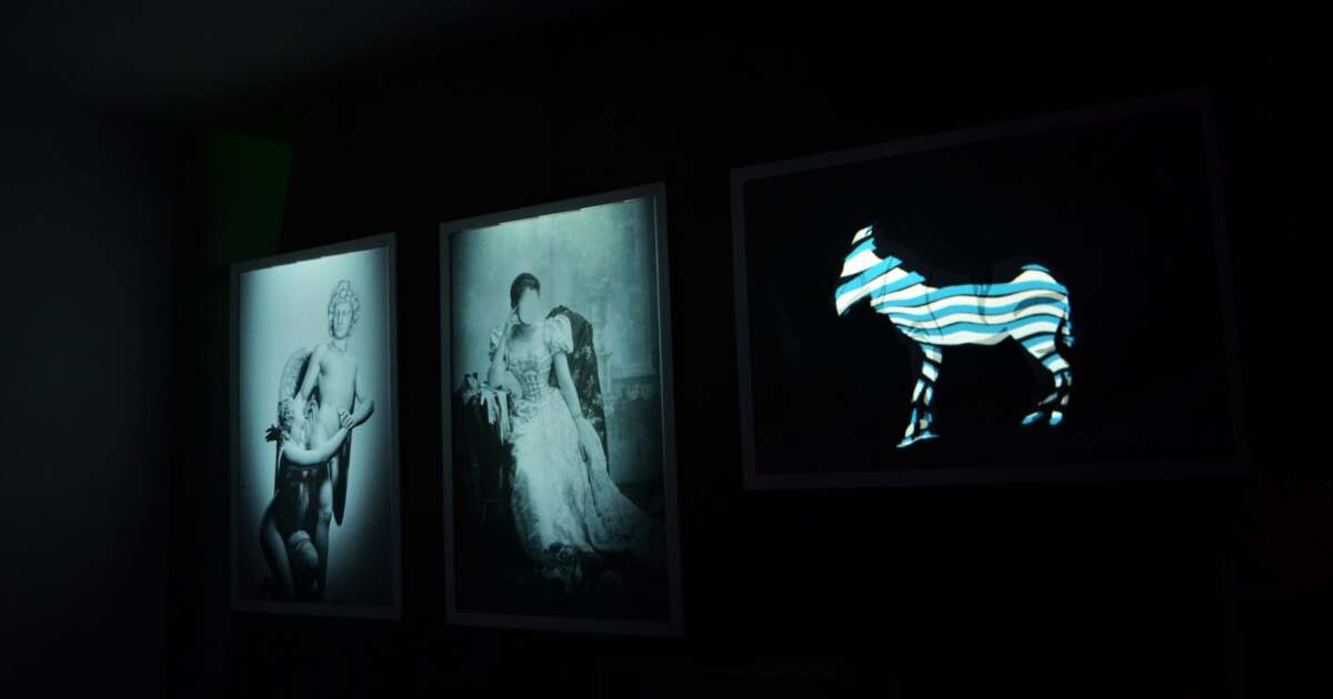 FOTO: One Night Gallery 02.10.2022 - BIHON