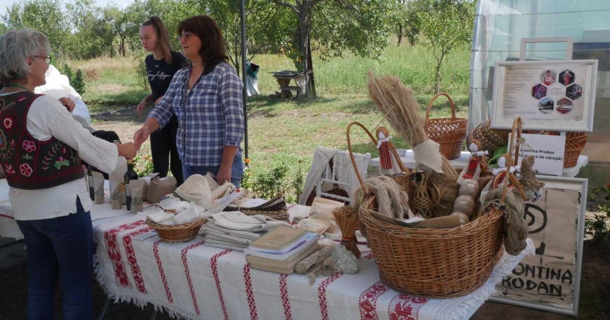 Totul despre cânepă și întrebuințările ei - BIHON