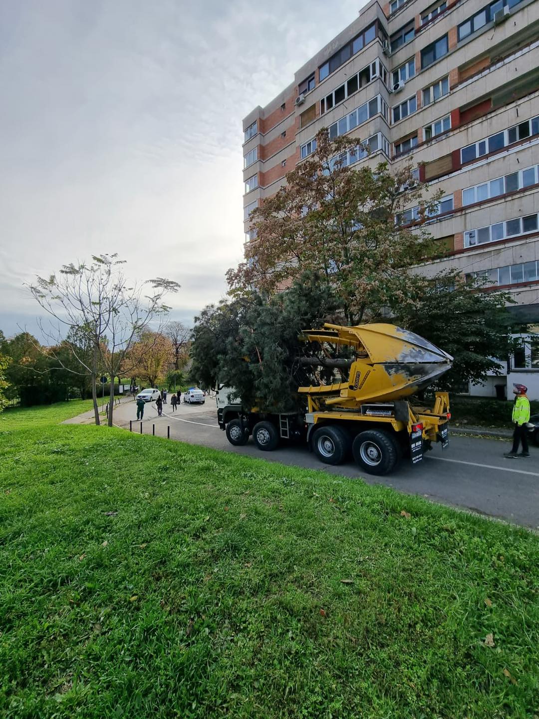 FOTO: Arbori și arbuști relocați 24.10.2022 - BIHON