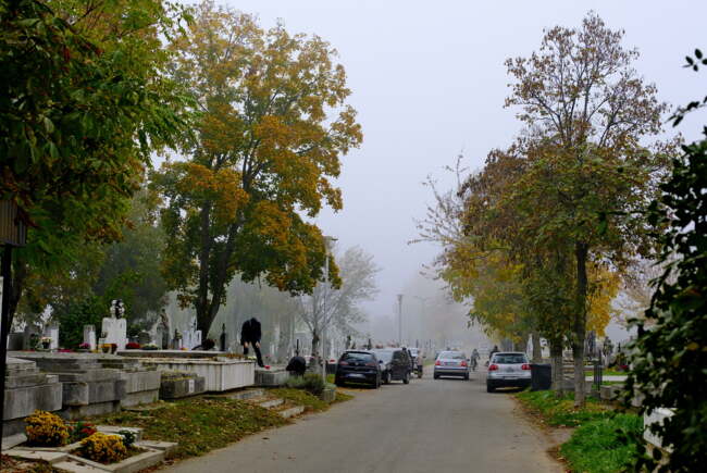 ADP dezgroapă 11.000 de morţi fără urmași din Cimitirul Rulikowski. Ce se întâmplă cu osemintele ...