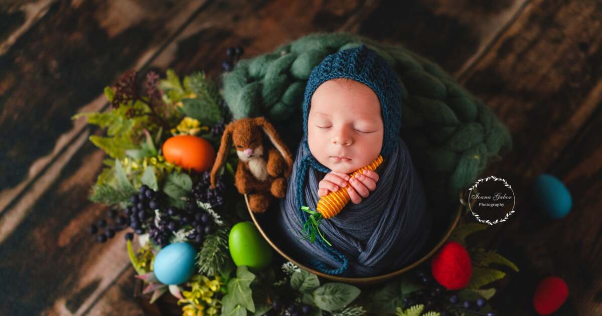 Expoziție inedită de fotografie la Filarmonica de Stat din Oradea - BIHON
