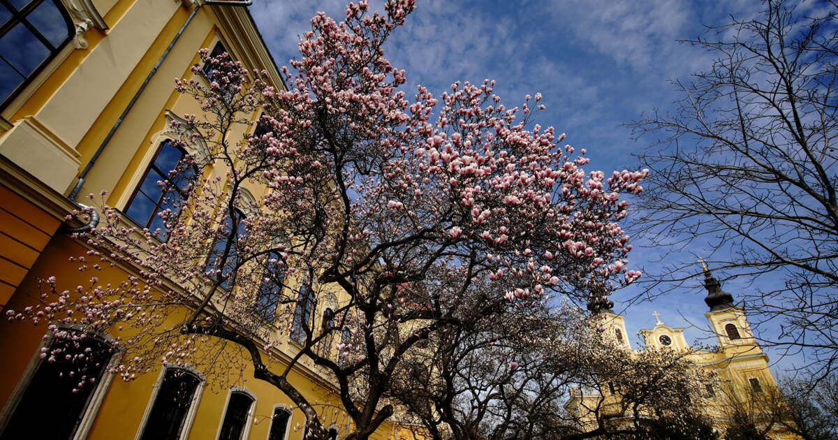 Spectacol floral în Complexul Baroc din Oradea - BIHON