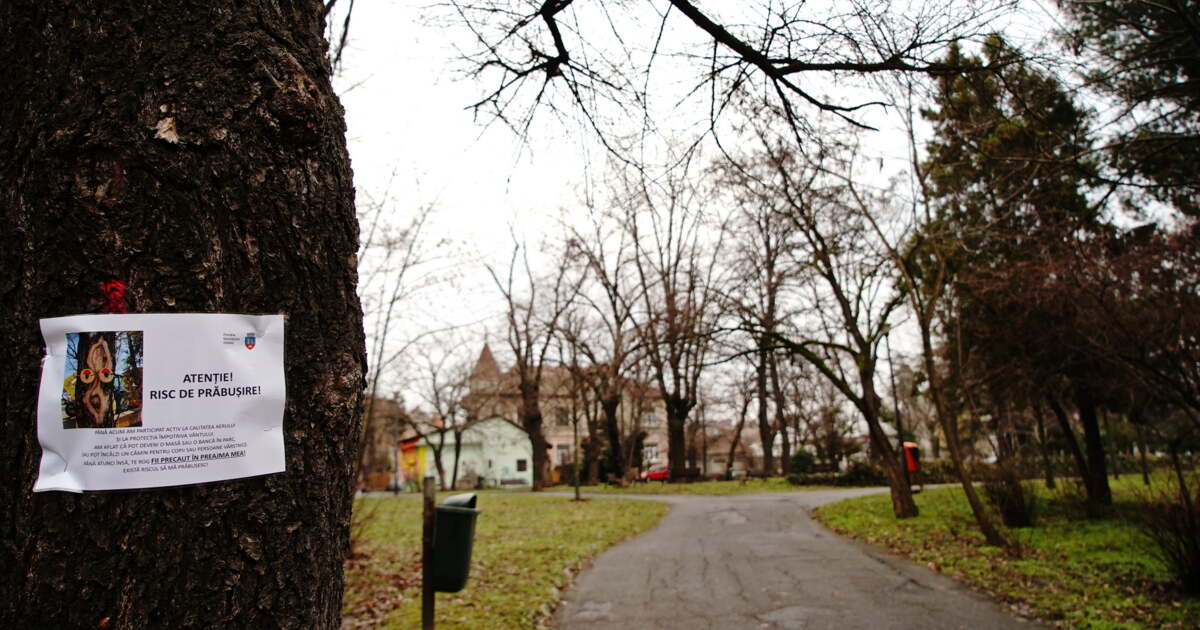 Prin parcuri, pe propria răspundere? Primăria a lipit afișe pe arborii ...