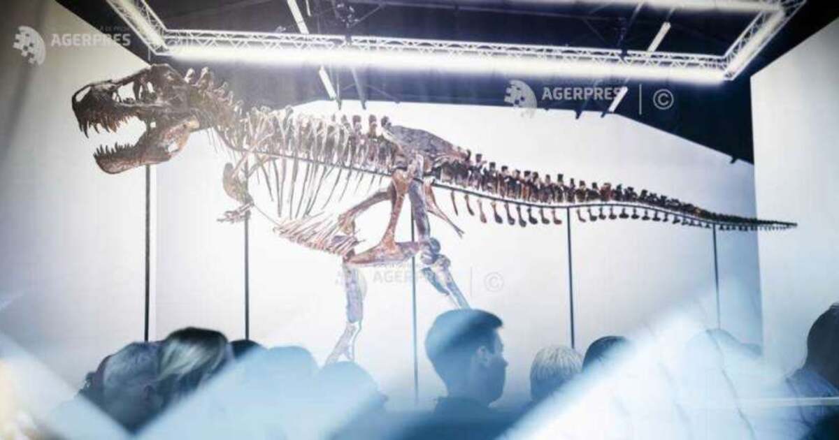Un schelet de T. rex a fost vândut la o licitaţie cu peste 6 milioane ...