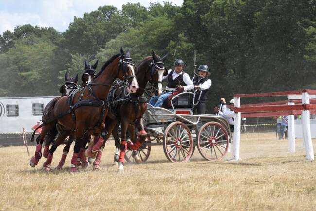 Paradă cu atelaje cu doi și patru cai prin centrul Oradiei - BIHON