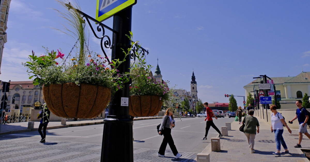 Oradea in Bloom: amplasamente de ghivece și aranjamente florale ...