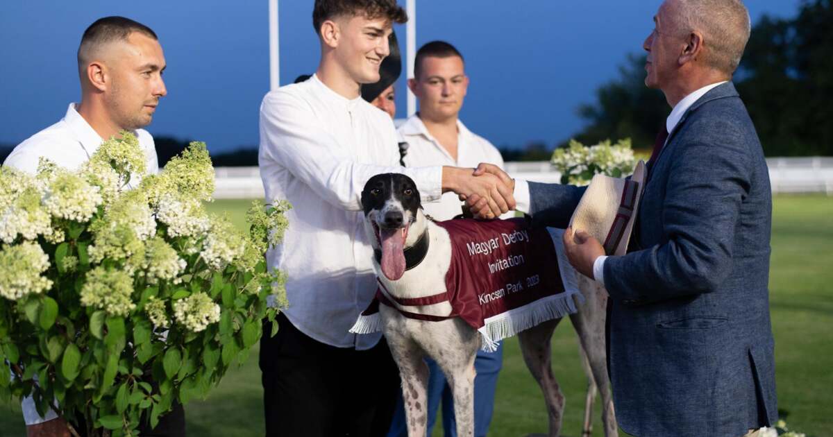 Ogarul englez Ronaldo, câinele bihoreanului Abel Bodog, cel mai rapid ...
