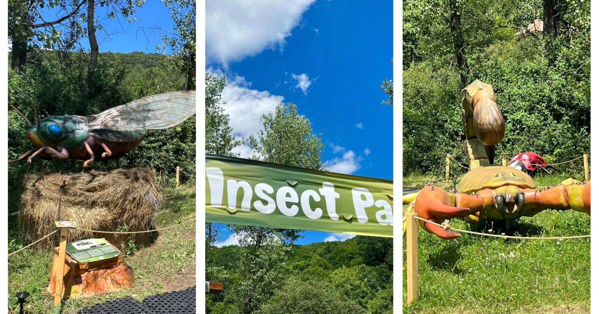 Insect Park, premieră în România, a fost inaugurat în acest weekend - BIHON