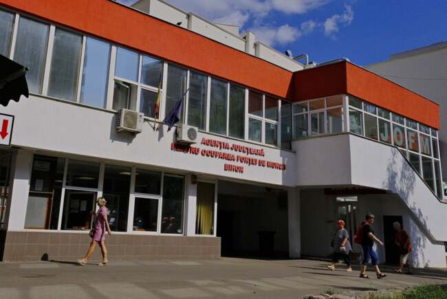 Lista locurilor de muncă vacante anunțate de AJOFM Bihor - BIHON