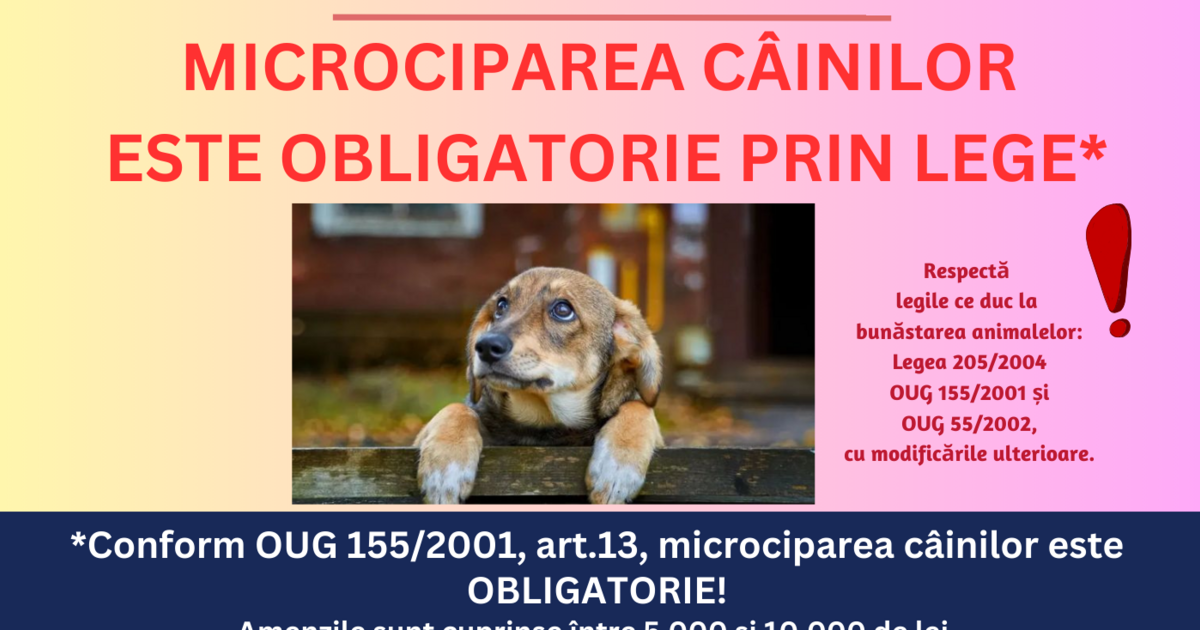 Continuă campania de microcipare a câinilor din Oradea. Amenzile ajung ...