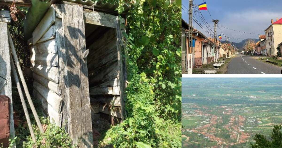 Cu buda-n curte (4). „Când implementezi proiecte cu administrații ...