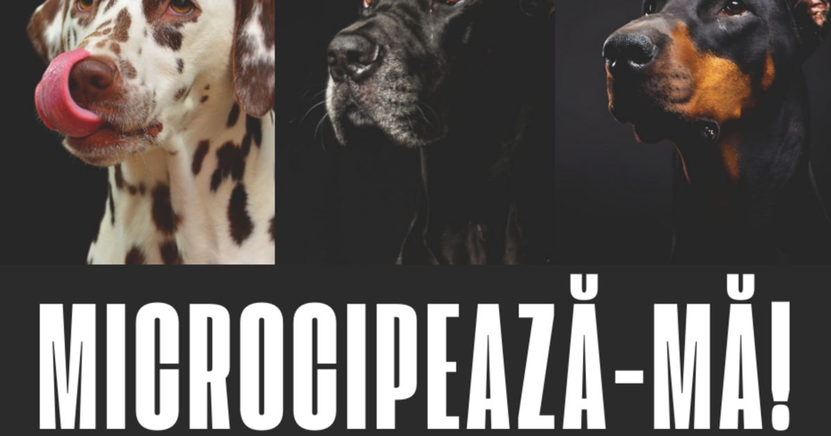 Primăria Oradea: „Fii responsabil, microcipează-ți câinele! Alternativa ...