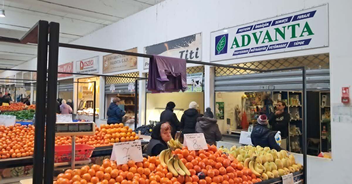 Piața Rogerius 15.01.2024 FOTO: Cristina Ghilea - BIHON