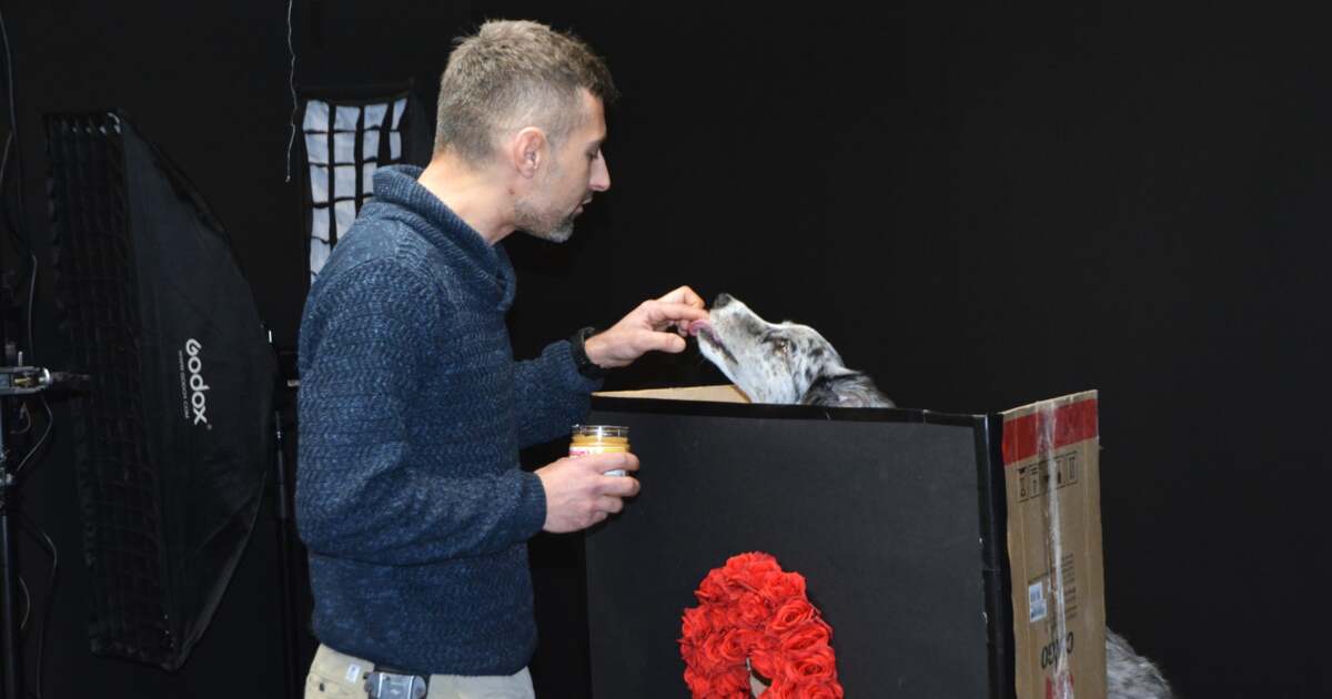 INTERVIU: Silviu Filip / „O fotografie cu un câine fericit atrage mai ...