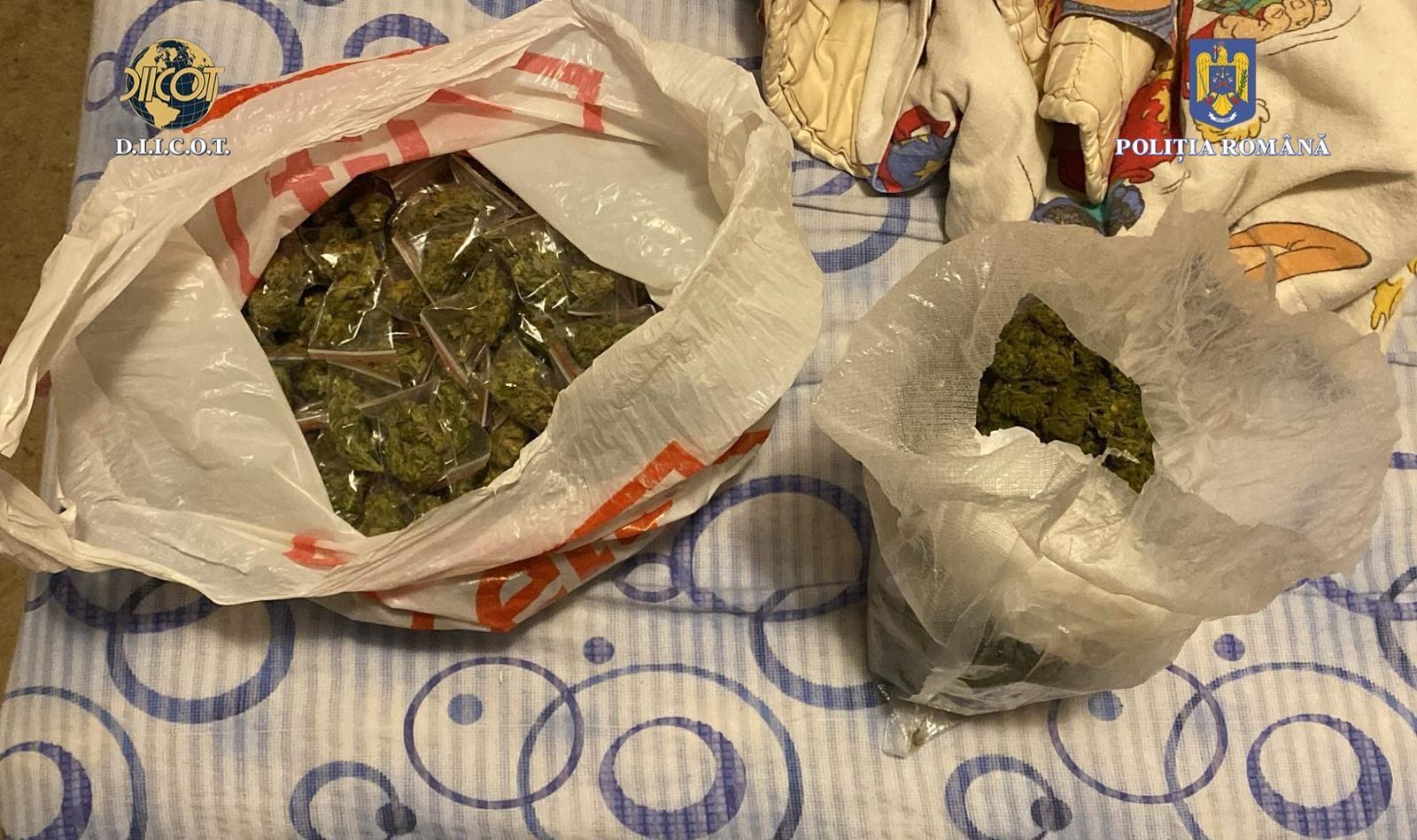 Cinci bărbați, reținuți de DIICOT Oradea pentru trafic de droguri, 05. ...