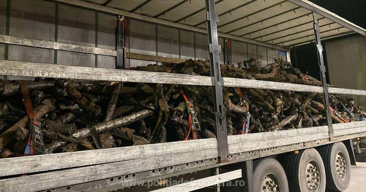 Peste 35 de tone de deșeuri din metal și plastic, oprite de a intra în ...