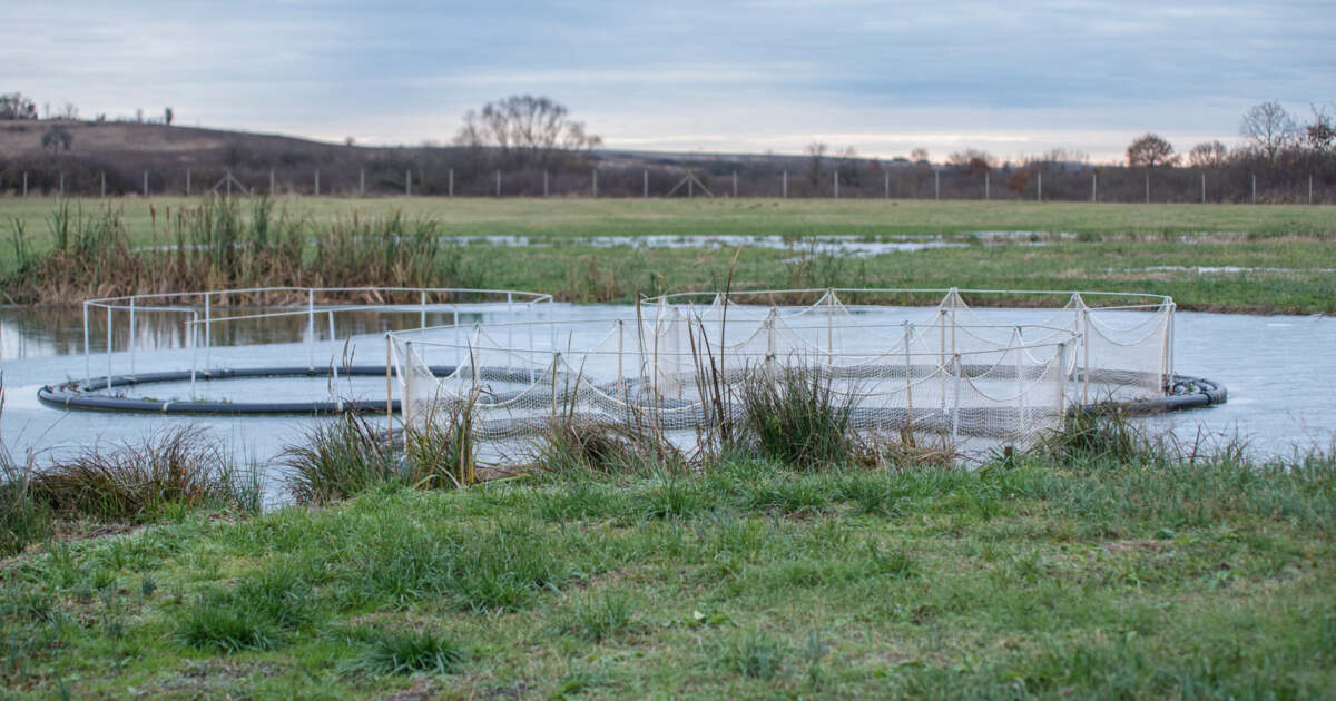 FOTO: Complex ACOM 22.04.2024 - BIHON