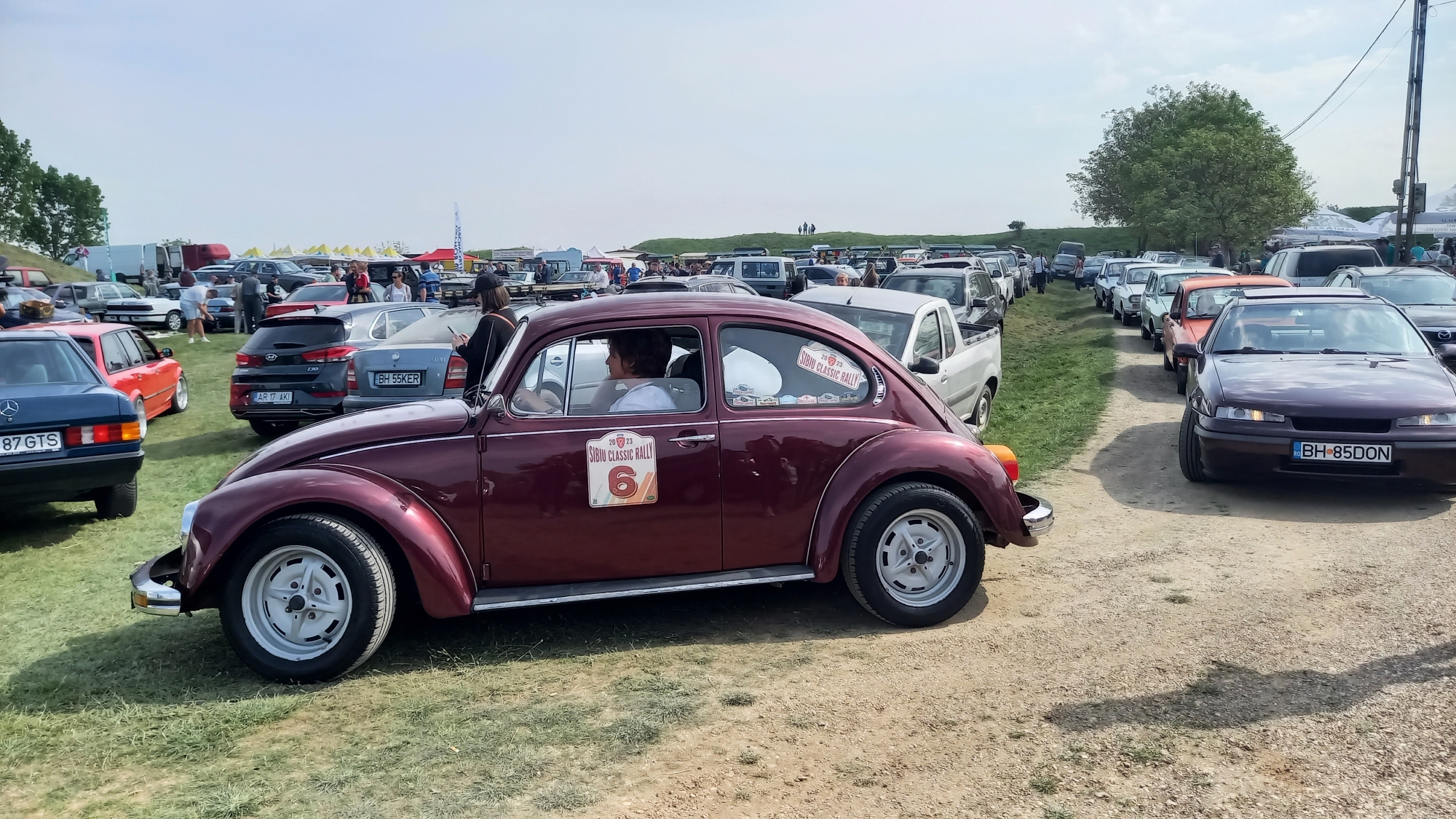 Târg de antichități la Biharia - BIHON