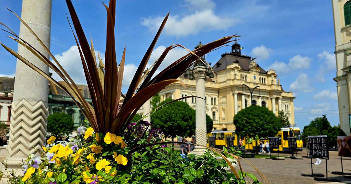 Temperaturi de vară în acest weekend la Oradea. Vezi prognoza meteo - BIHON