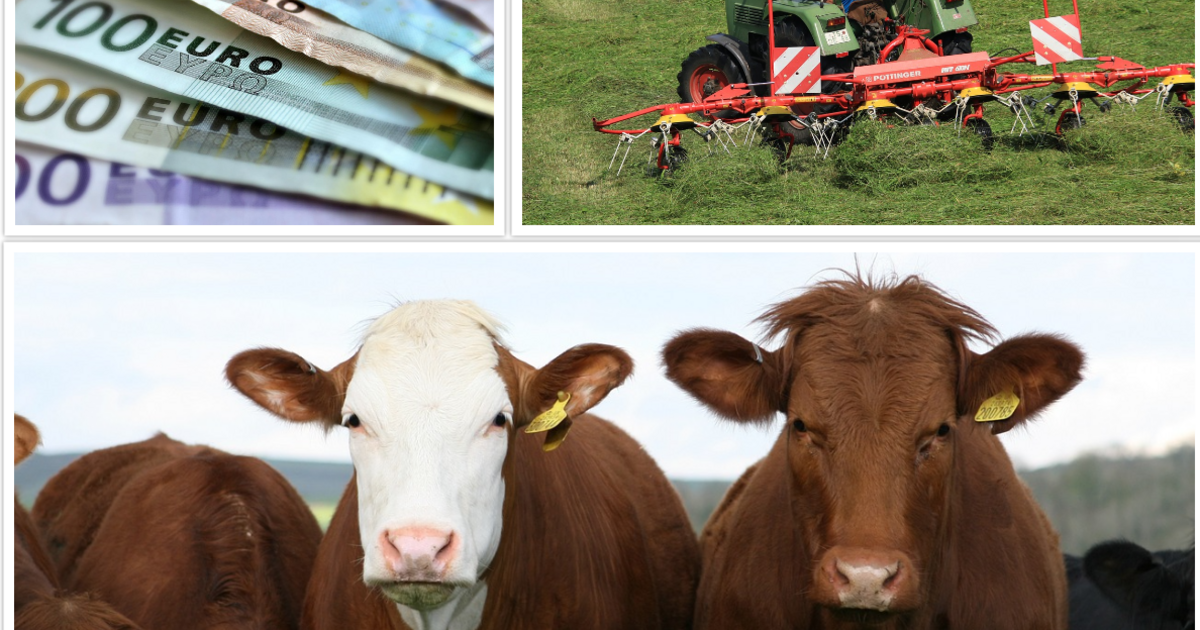 Fermierii bihoreni nu vor bani de la stat. Sute de fermieri vor rămâne ...