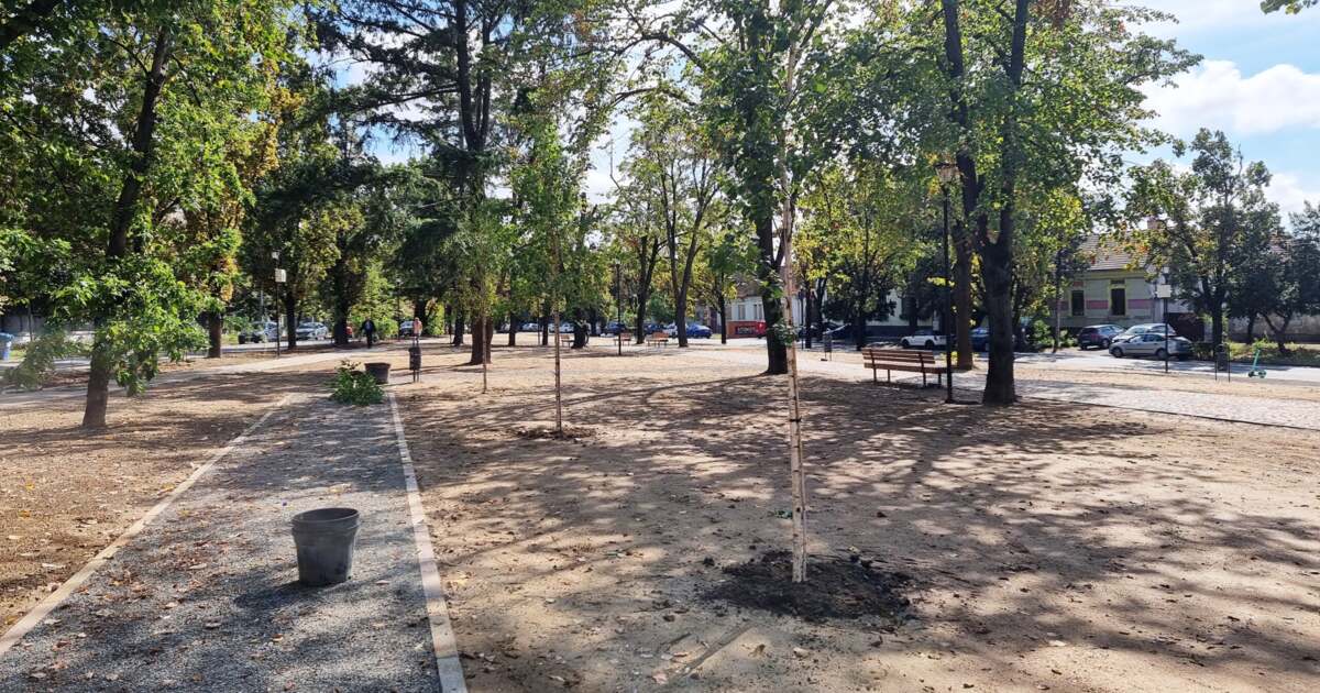 În sfârșit, s-a început amenajarea peisagistică în Parcul Petofi din ...