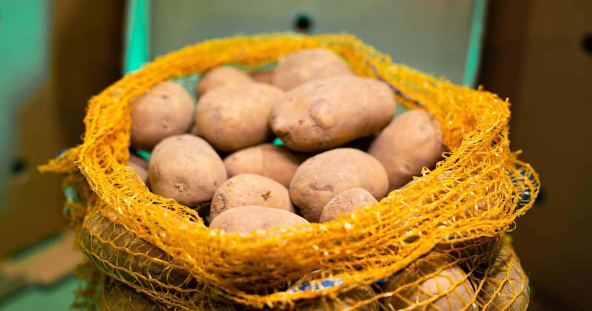 Foto: Legume 27.12.2024 - BIHON