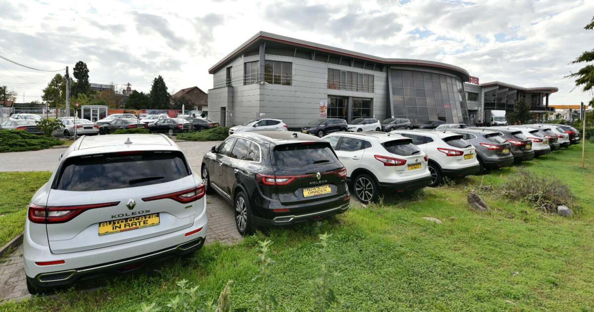 foto: ProvoAuto Oradea, cel mai mare parc auto second hand din vestul ...