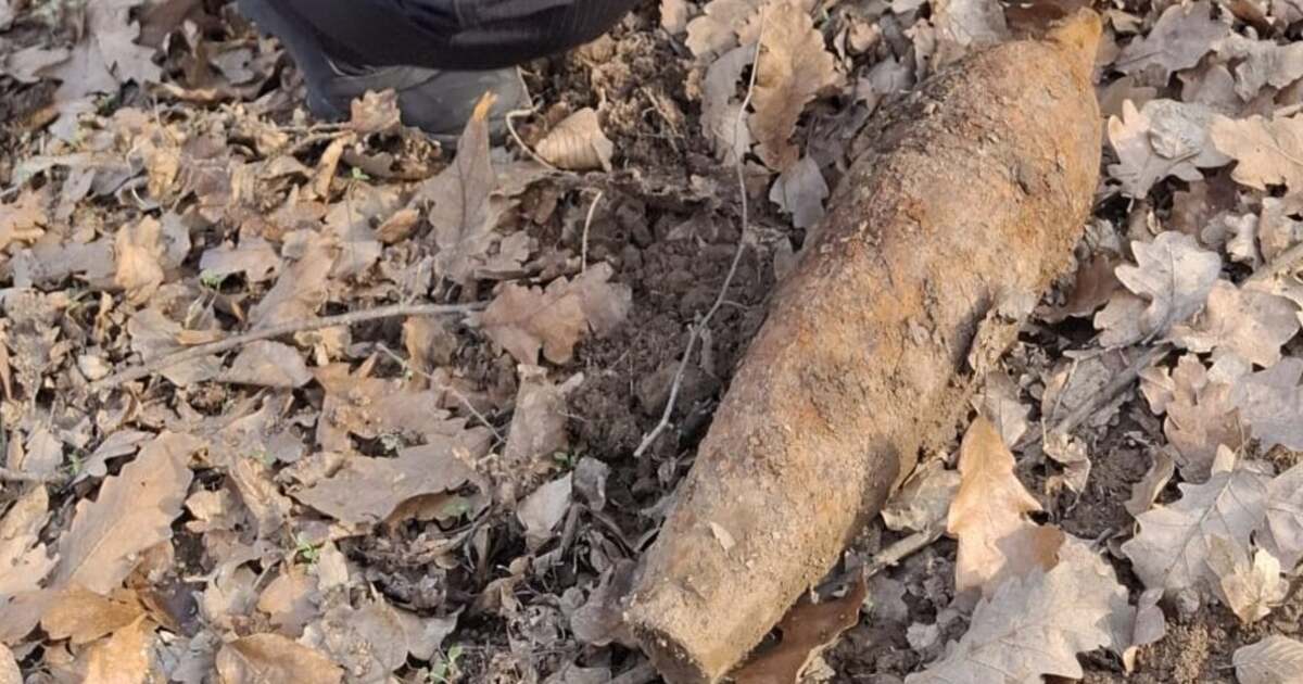Încă o bombă din al Doilea Război Mondial a fost găsită în pădurea din ...