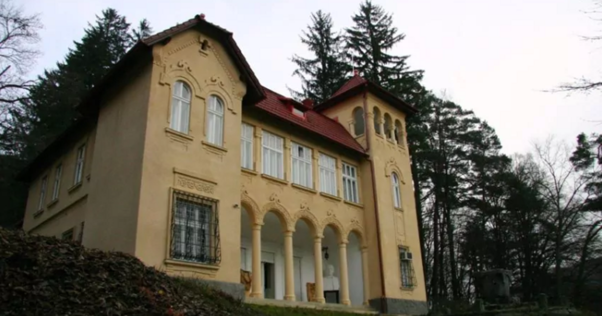 Bani europeni pentru restaurarea castelului Goga din Ciucea. Valoarea ...