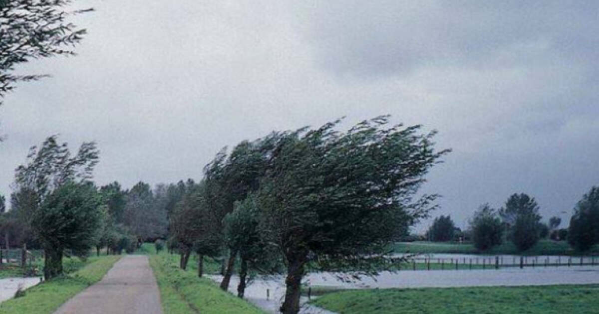 Cod portocaliu de vânt puternic în Bihor: rafale de până la 85 km/h - BIHON