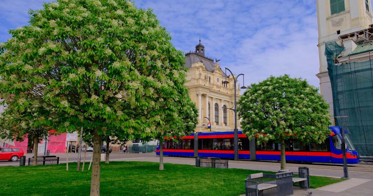Weekend plin de evenimente în Oradea - BIHON