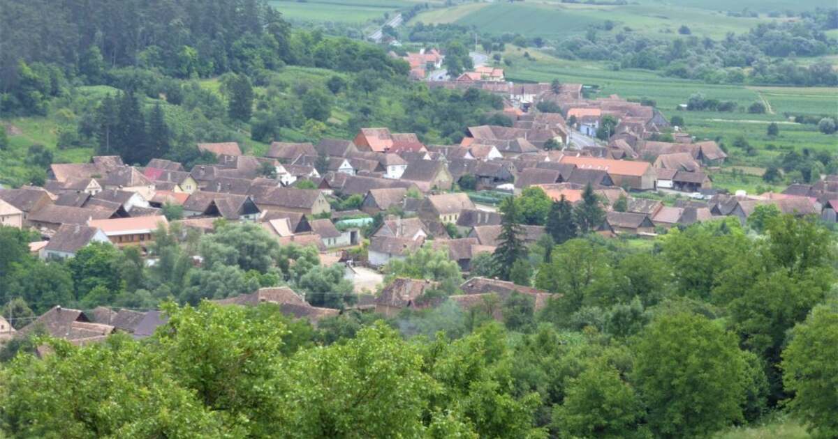 Servicii integrate pentru sate mai puternice: AJPIS Bihor promovează un ...