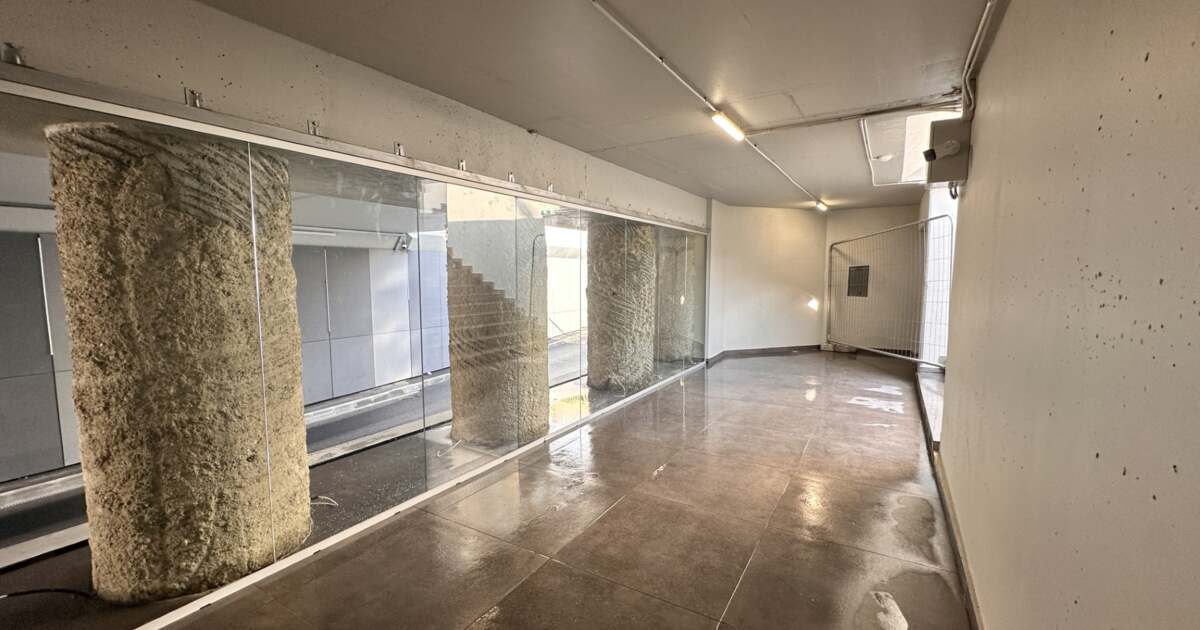 FOTO: Pasaj pietonal Decebal 23.05.2025 - BIHON