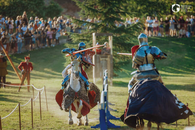 Bătălii cu vikingi și demonstrații ale trupelor de gladiatori la ...