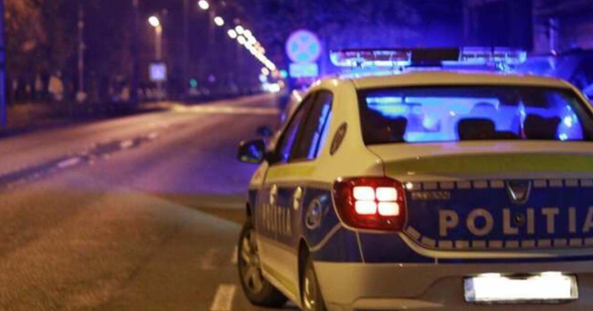 Cadavrele a doi câini uciși au fost găsite în mai mulți saci, pe o ...