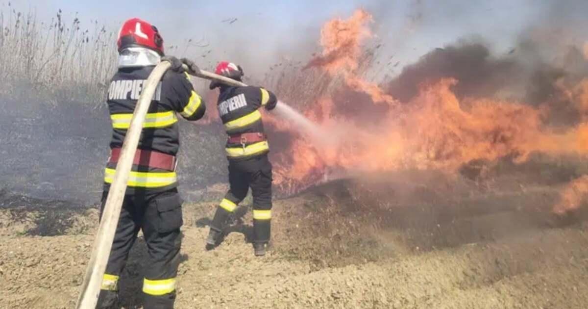 Incendiu de vegetație uscată în Batăr. Un bărbat a suferit arsuri de ...